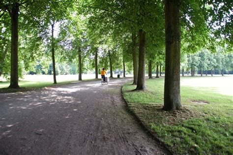 Premium Photo Rear View Of Woman Riding Bicycle On Road In Park