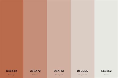 25 Best Terracotta Color Palettes With Names And Hex Codes In 2024