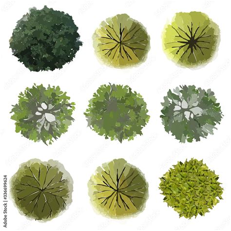 Set Of Tree Top View Isolated For Landscape Plan Stock Illustration