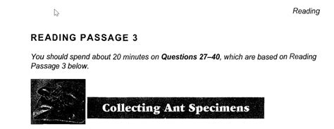 Preptical Academy Lesson Sentence Completion Practice Set 2