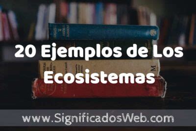 20 Ejemplos de Los Ecosistemas Tipos Definición y Análisis