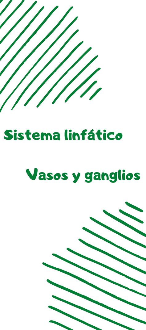 SOLUTION Sistema Linf Tico Vasos Y Ganglios Studypool