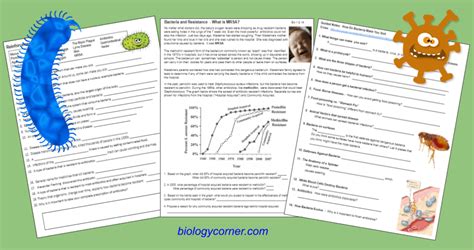 Bacteria And Viruses Worksheets 15 Worksheets Worksheets Library