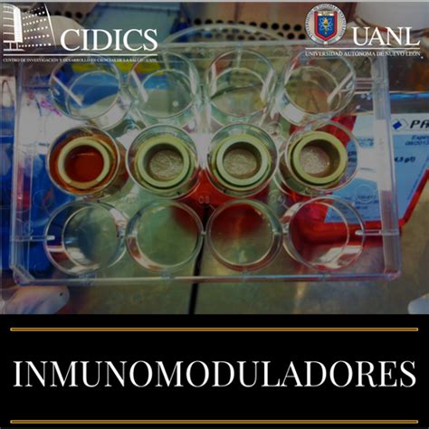 Cidics Inm Cidics Uanl