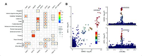 colocalization of genetic als association and eqtl in different download scientific diagram