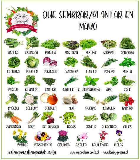 1 315 Me Gusta 69 Comentarios Mi Jardin Secreto Mijardinsecreto