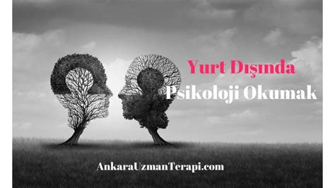 Yurtdışında Psikoloji Okumak Ankara Psikolog