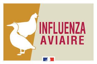 Influenza Aviaire La France Passe En Niveau De Risque Lev