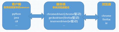 selenium详解（完整版） csdn博客