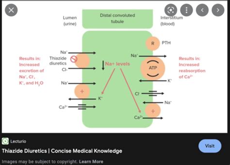 Nephrology Flashcards Quizlet