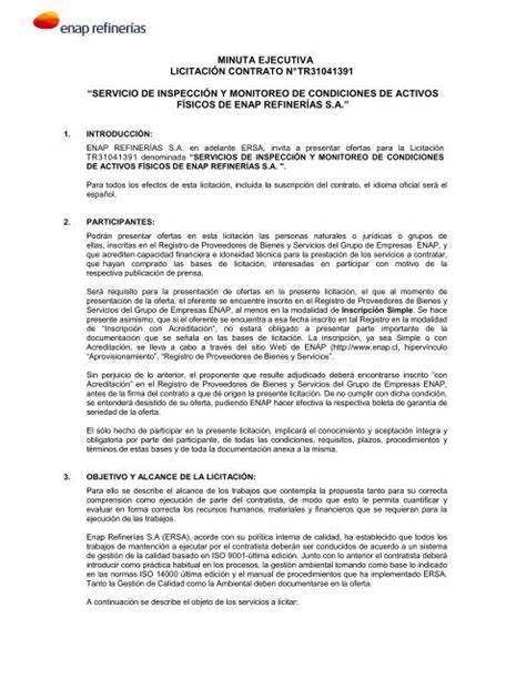 minuta ejecutiva licitación contrato n tr31041391 servicio Enap