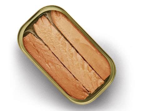 Pescados Enlatados Dicas De Como Conservar O Alimento Em Casa Guia