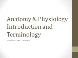 PPT Anatomy Physiology PowerPoint Presentation