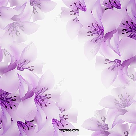 79 Background Bunga Ungu Png Pics MyWeb