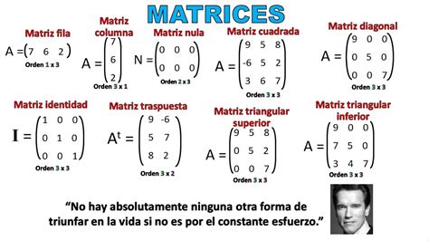 Definición componentes y clases de Matrices