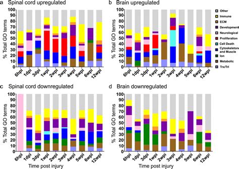Functions Of Differentially Expressed Genes Stacked Bar Graphs Show