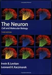 The Neuron Cell And Molecular Biology 9780195145236 Medicine