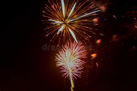 Fuegos Artificiales Brillantemente Coloridos Y Saludo De Diversos