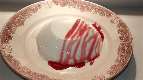 Panacota o Panna Cotta casera Receta de Panacota casera fácil Sin Horno