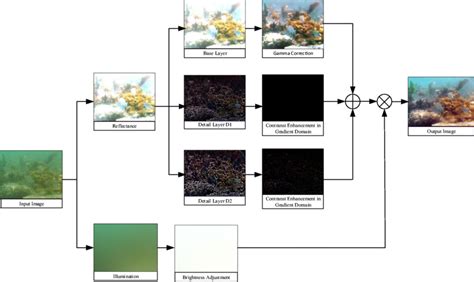 proposed retinex based algorithm using gamma correction for underwater download scientific