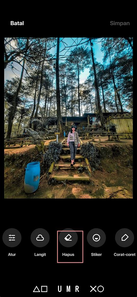 Cara Menghilangkan Objek Foto Mengganggu Tanpa Aplikasi Di Android