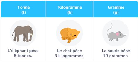 Choisir La Bonne Unit De Masse Ce