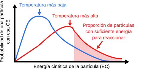 Factores que afectan a las velocidades de reacción Labster