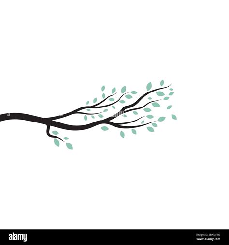 Tree Branch Vector Illustration Design Template Stock Vector Image