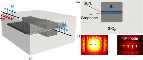 Figure 2 From Ultrabroadband Compact GrapheneSilicon TM Pass Polarizer