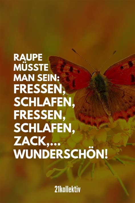 57 Lustige Freche Sprüche Pfalz Nie wieder sprachlos ideal zum