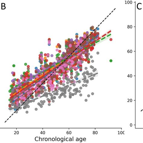brain age prediction using the selected cnn vgg16 based deepbrainnet download scientific