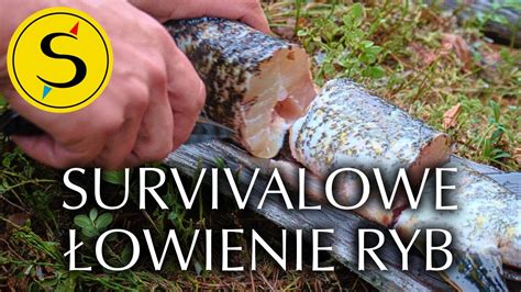 Survivalowe łowienie ryb Laponia odc 03 YouTube