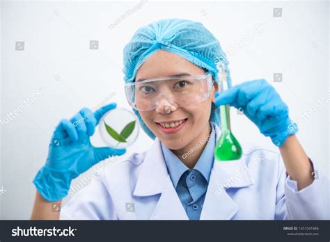 96 Microalgae Fuel Images Stock Photos Vectors Shutterstock