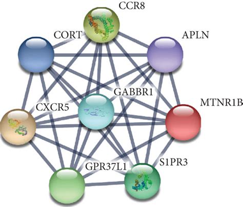 Construction Of Ppi Network By Downregulated Degs The Ppi Networks Of
