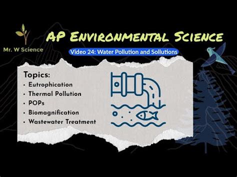 Video Water Pollution And Solutions Apes Unit Aquatic And