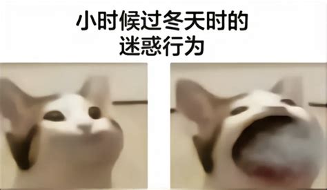蜡笔小丸子 的想法 与其精神内耗自己 不如发疯外耗别人 我还 知乎