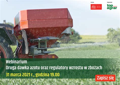 Druga dawka azotu i stosowanie regulatorów wzrostu w zbożach zobacz