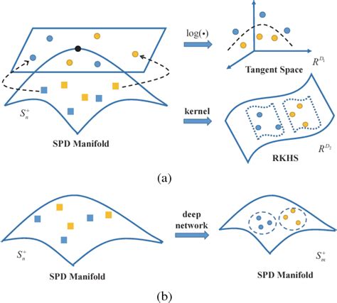 [pdf] deep manifold learning of symmetric positive definite matrices with application to face