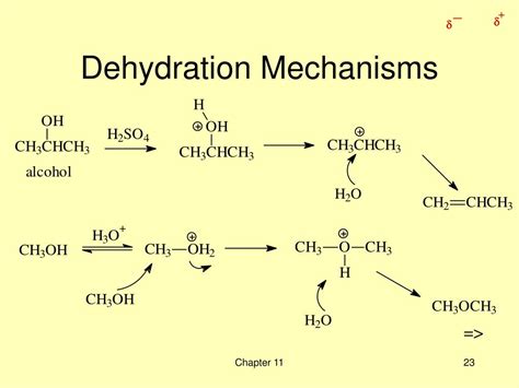 Ppt Chapter Reactions Of Alcohols Powerpoint Presentation Free