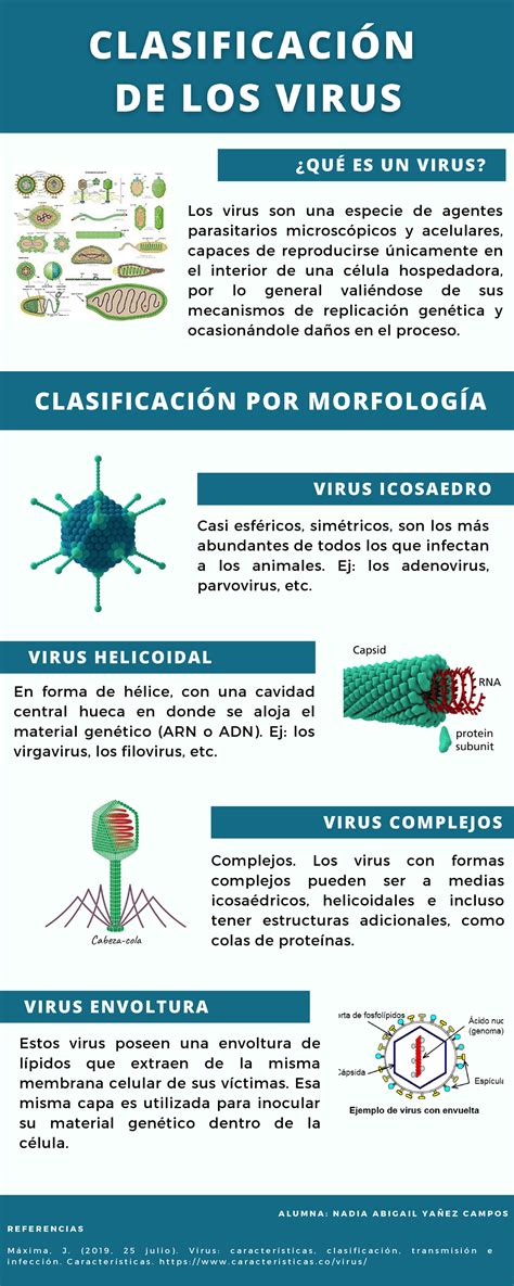 Clasificación de los virus Nadia Yañez VIRUS ICOSAEDRO VIRUS