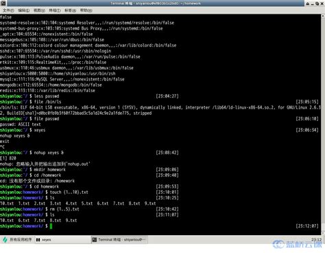 linux 目录结构及文件基本操作 蓝桥云课