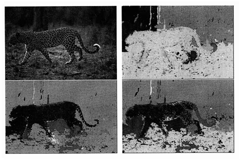 figure 1 from improving the graph based image segmentation method semantic scholar