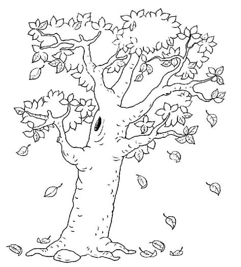 Dibujos De Tronco De Arbol Para Colorear Dibujos Online