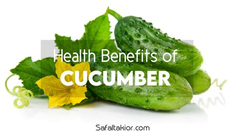 Cucumbers 10 Health Benefits Nutrition Facts And Uses Safaltakior