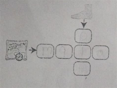 Es Una Tarea De Primero Ayuda Por Favor Es Urgente Brainly Lat