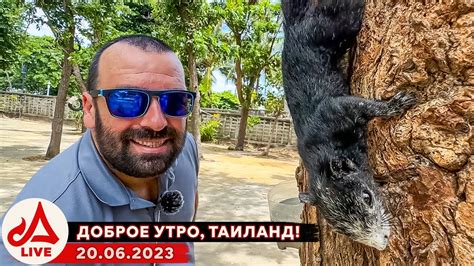 Старт продаж туров в Таиланд Пляж Джомтьен и Паттайя Парк YouTube