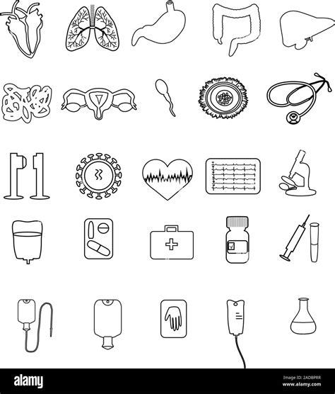 Female Human Digestive System Organs Stock Vector Images Alamy
