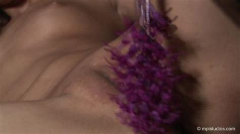 Solo Projects Of Naked Porn Models Page