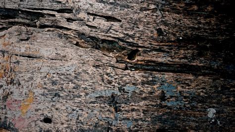 Free Images Rock Wood Texture Wall Soil Terrain Material
