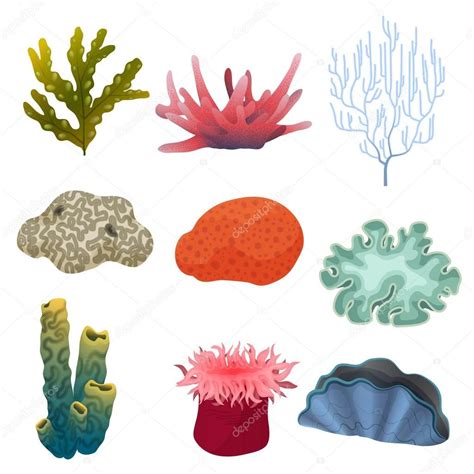 Cartoon Coral Reef Drawing How To Draw A Coral Reef Bodewasude